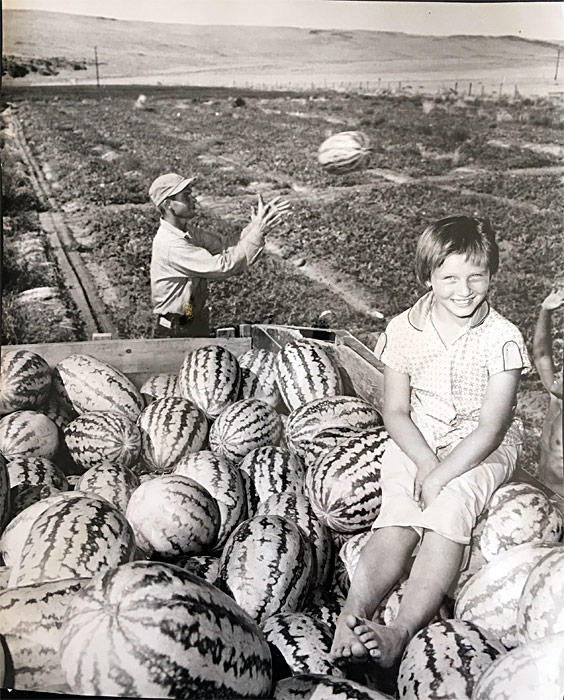 Postcards & Photos: Here's Looking At Ya, Watermelon - Watermelon Times